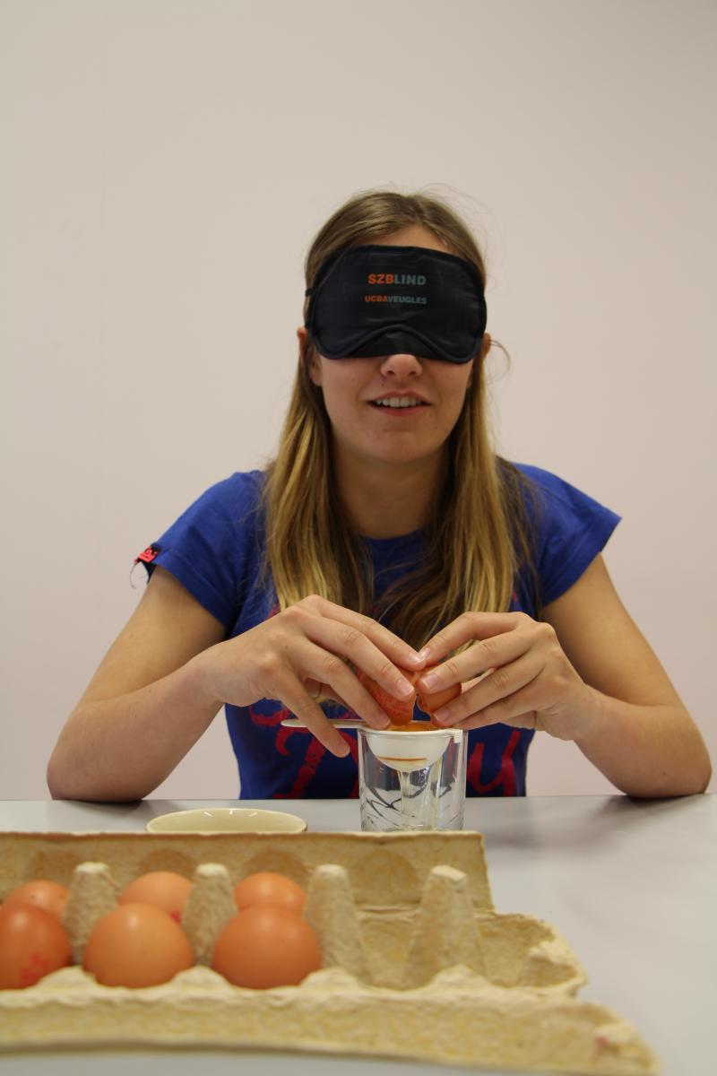 IFE-LCA - Comprendre le cursus de formation de l’IFE-LCA